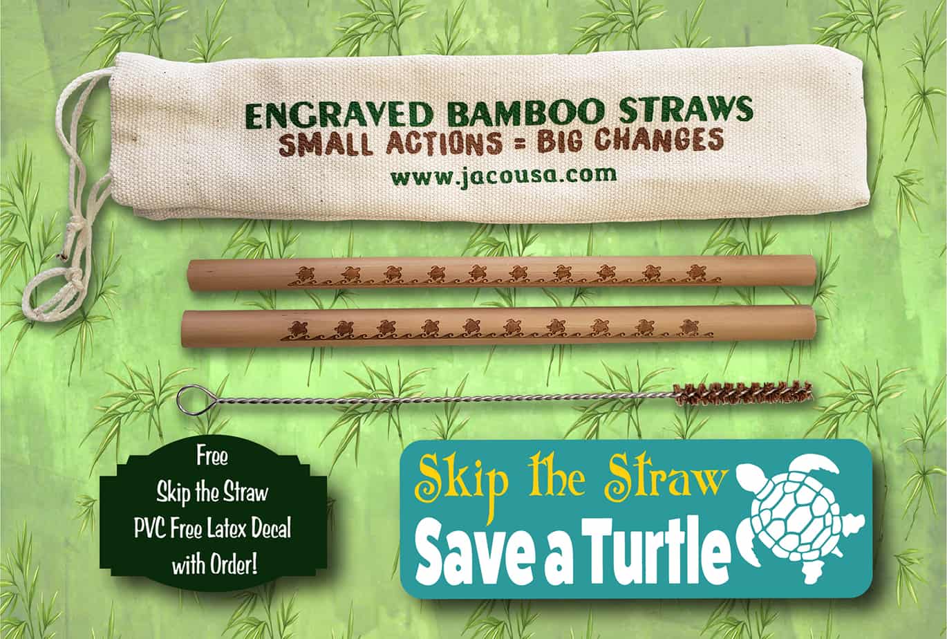 Sea Turtle Bamboo Straw Set | Coastal Decor - Seaside Glass Gallery